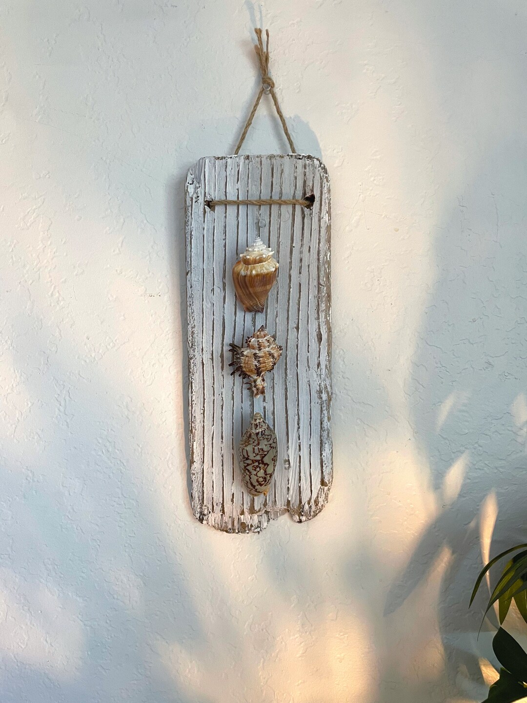 Unique Seashell Wall Art Cute Shell and Driftwood Wall Hanging Coastal ...