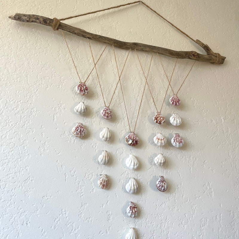 Sea Shell Wall Art - Etsy