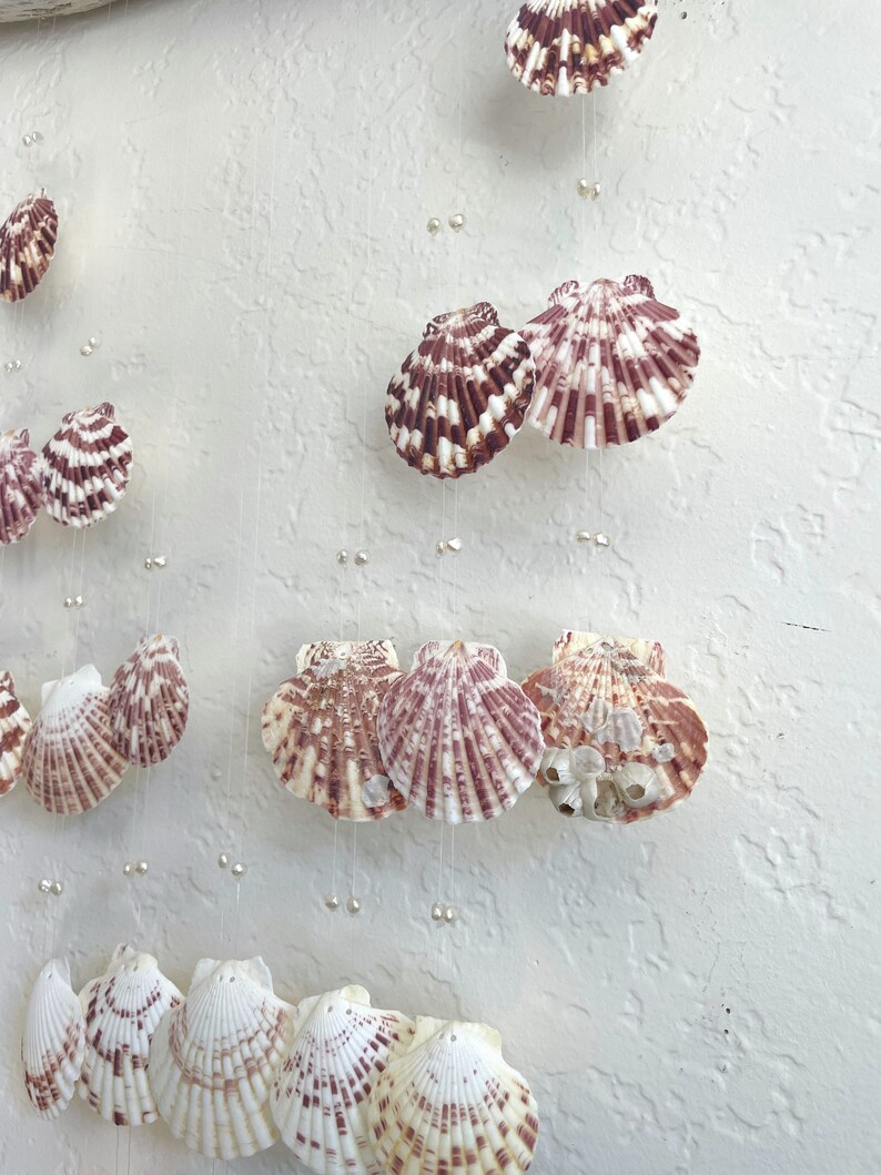 Seashell Driftwood Hanger Coastal Sea Shell Wall Hanging Seashell Craft ...