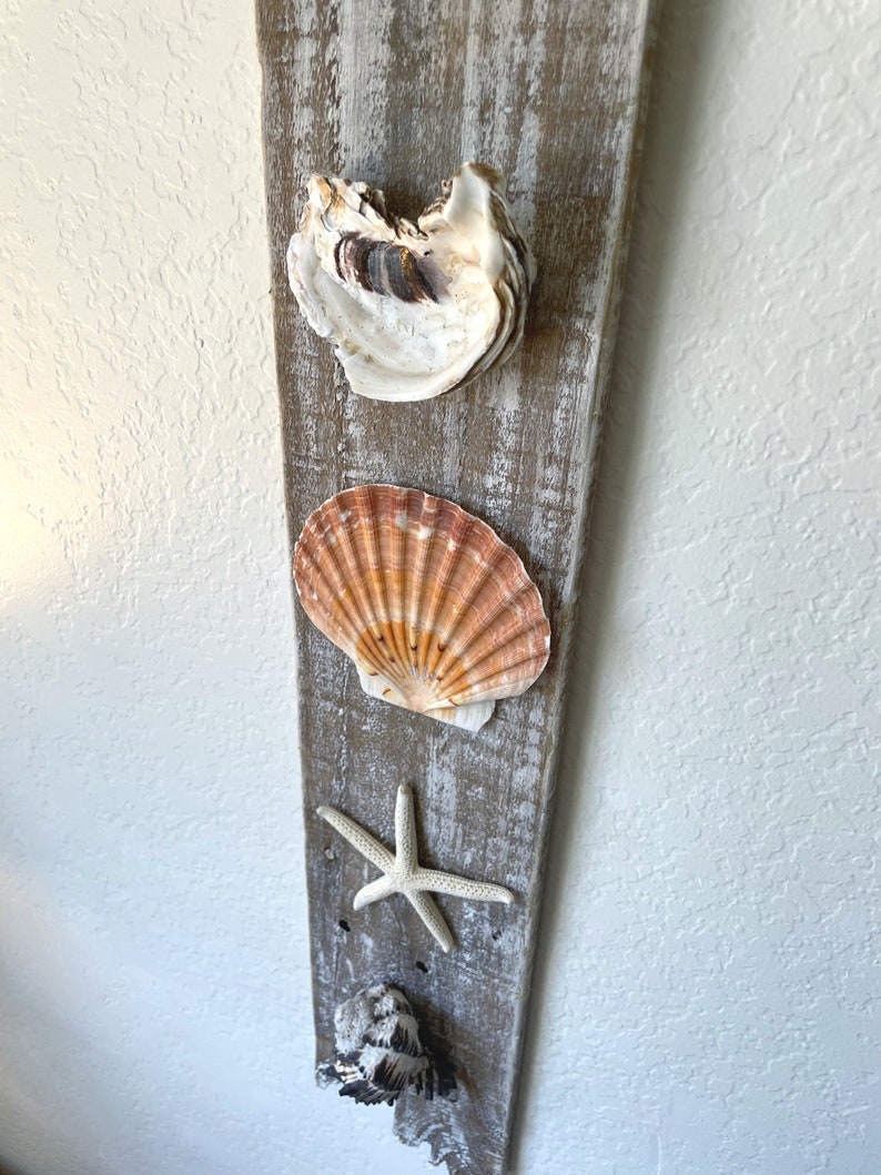 Unique Seashell Wall Art, Cute Shell and Driftwood Wall Hanging ...