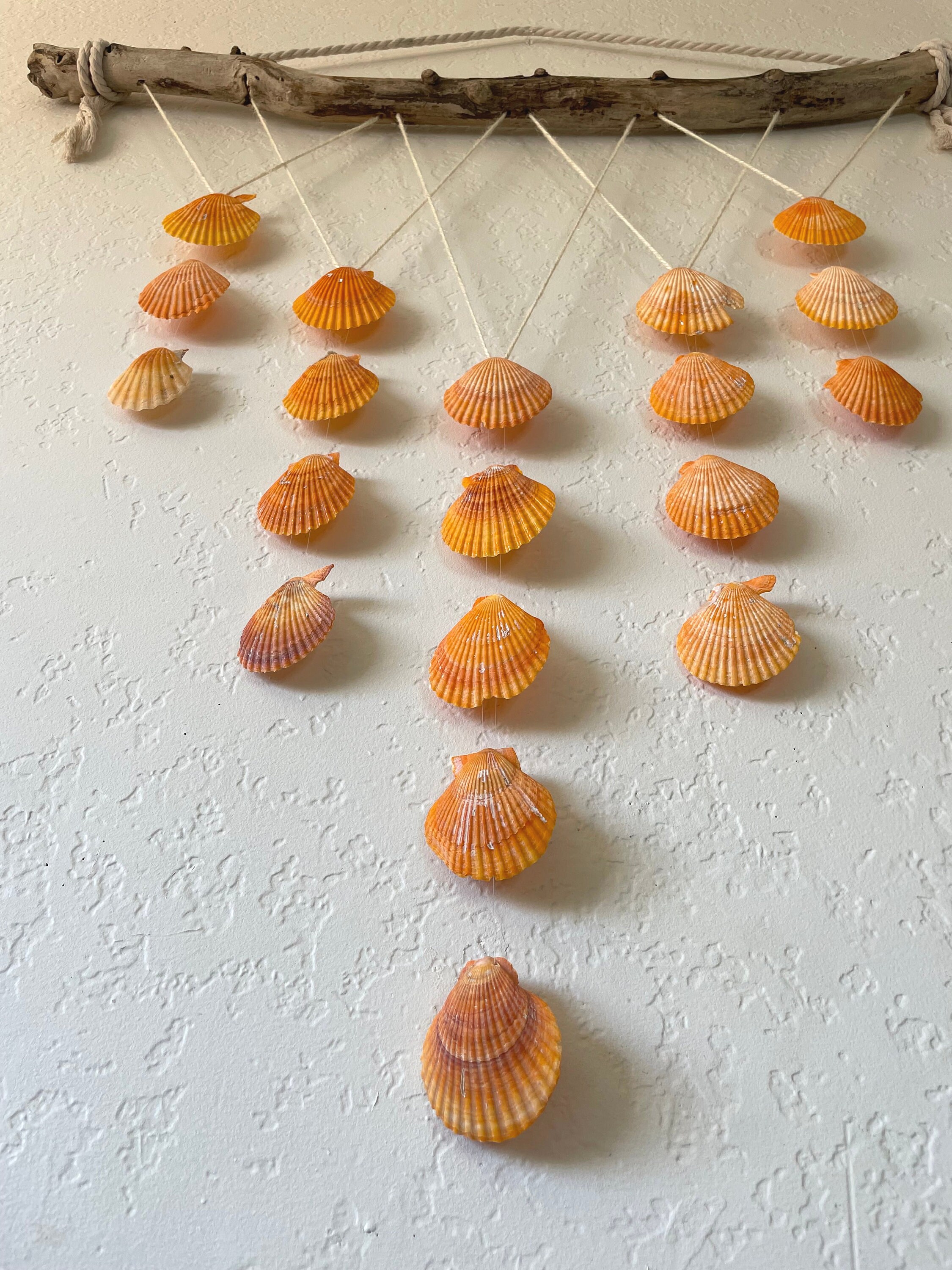 Seashell Driftwood Hanger, Coastal Sea Shell Wall Hanging, Seashell ...