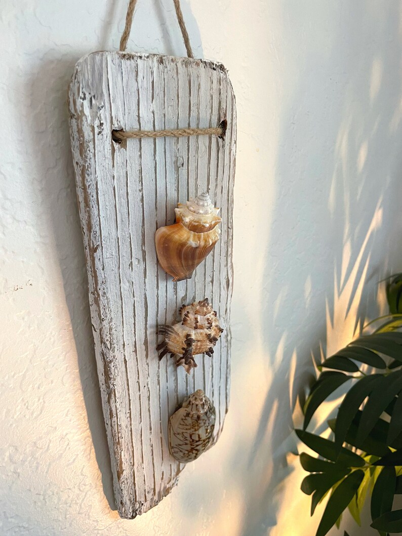 Unique Seashell Wall Art Cute Shell and Driftwood Wall Hanging Coastal ...