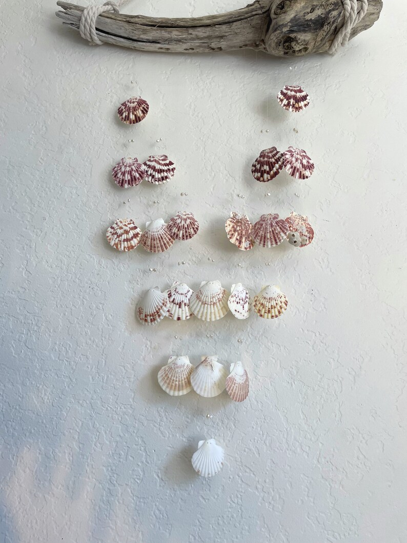 Seashell Driftwood Hanger Coastal Sea Shell Wall Hanging Seashell Craft ...
