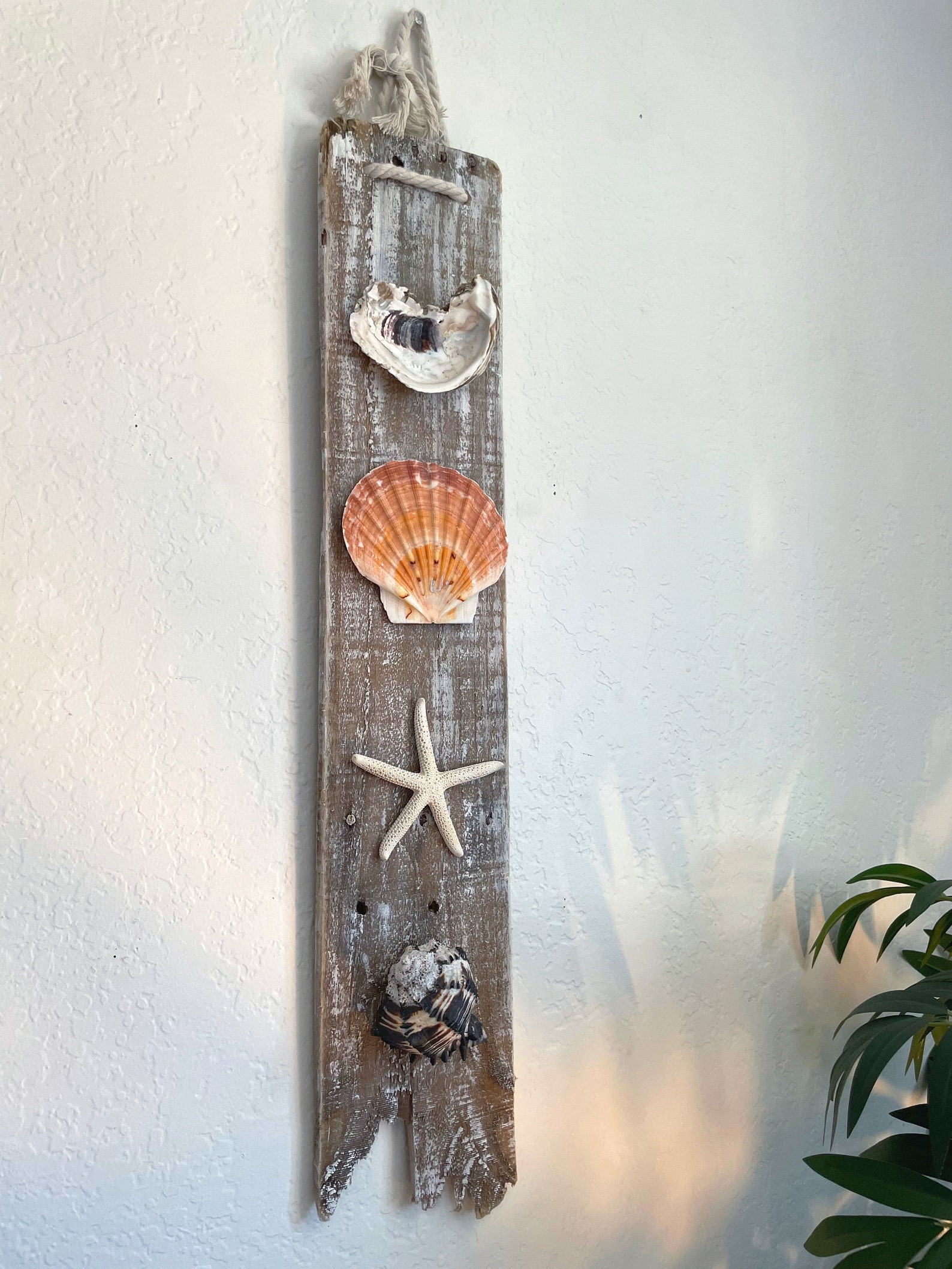 Unique Seashell Wall Art, Cute Shell and Driftwood Wall Hanging ...
