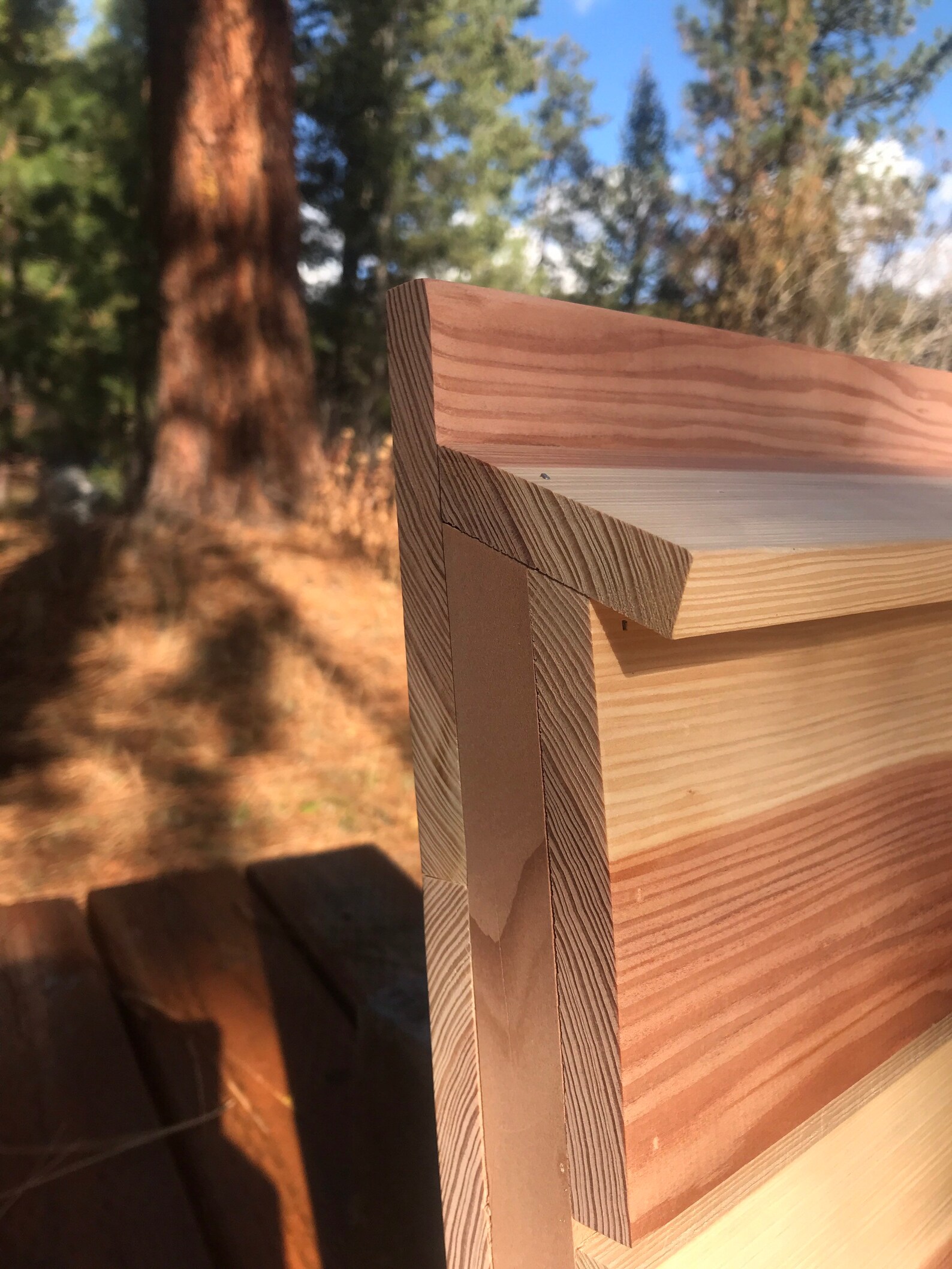 Redwood Bat Box Single Chamber Unassembled FUN Project With - Etsy