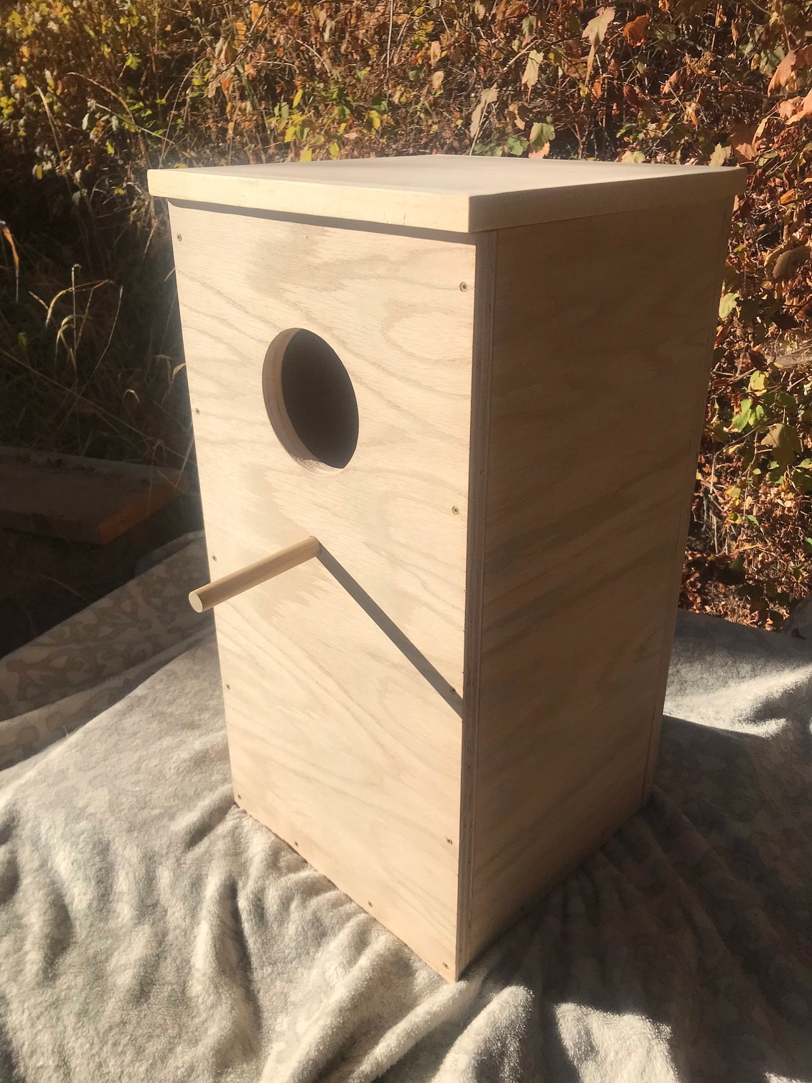 African Grey or White Bellied Parrot Nesting Box - Etsy