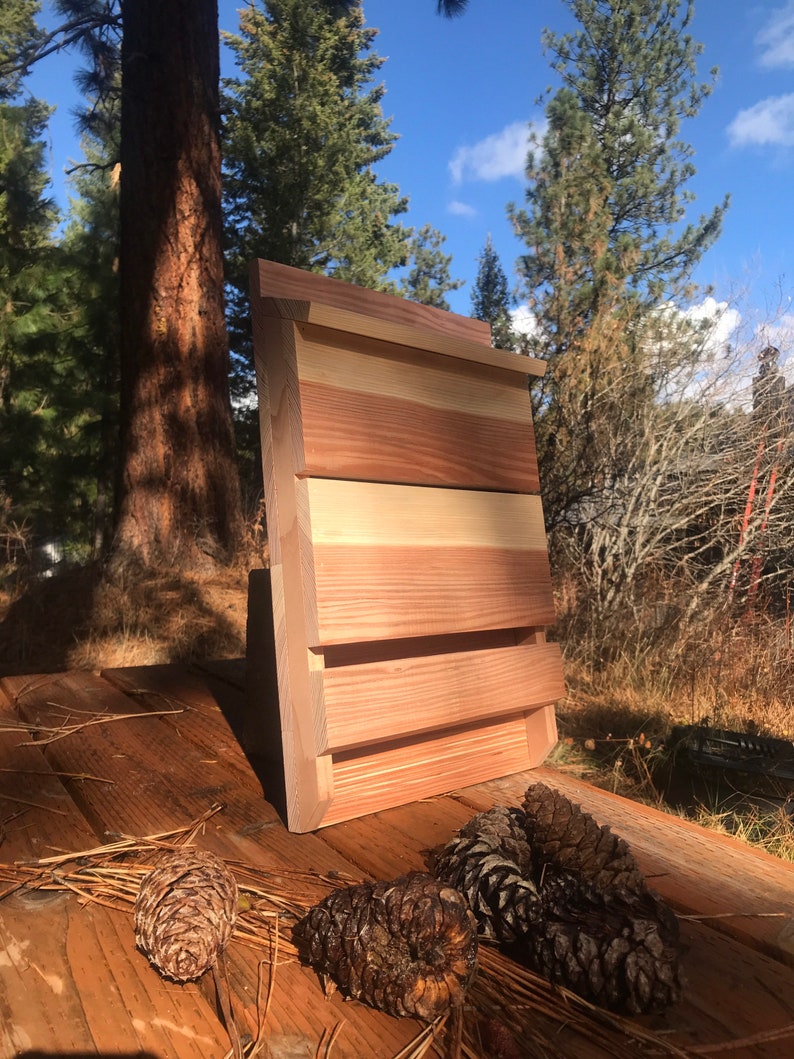 Redwood Bat Box Single Chamber Unassembled FUN Project With - Etsy