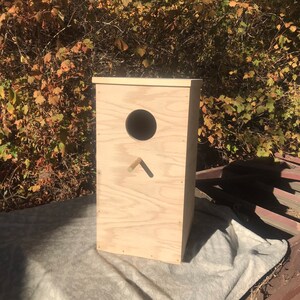 African Grey Nest Box - Etsy