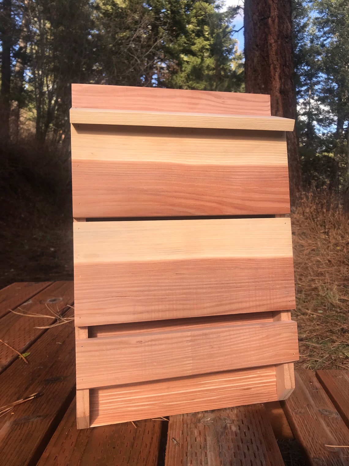 Redwood Bat Box Single Chamber Unassembled FUN Project With - Etsy