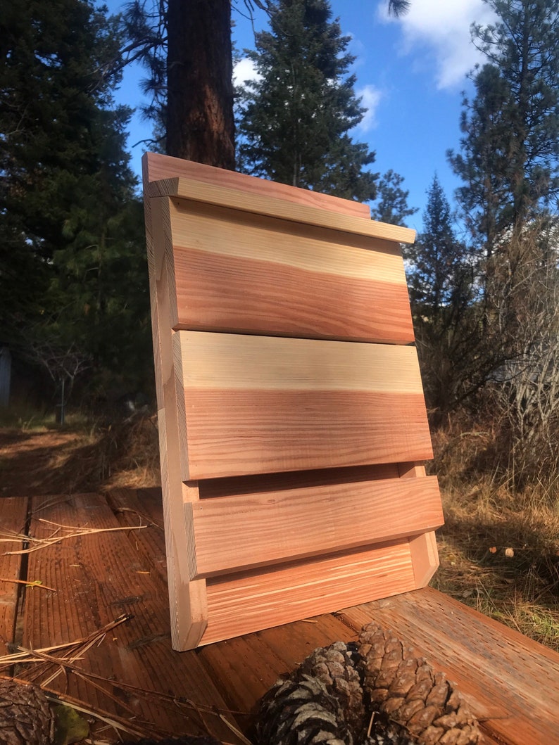 Redwood Bat Box Single Chamber Unassembled FUN Project With - Etsy