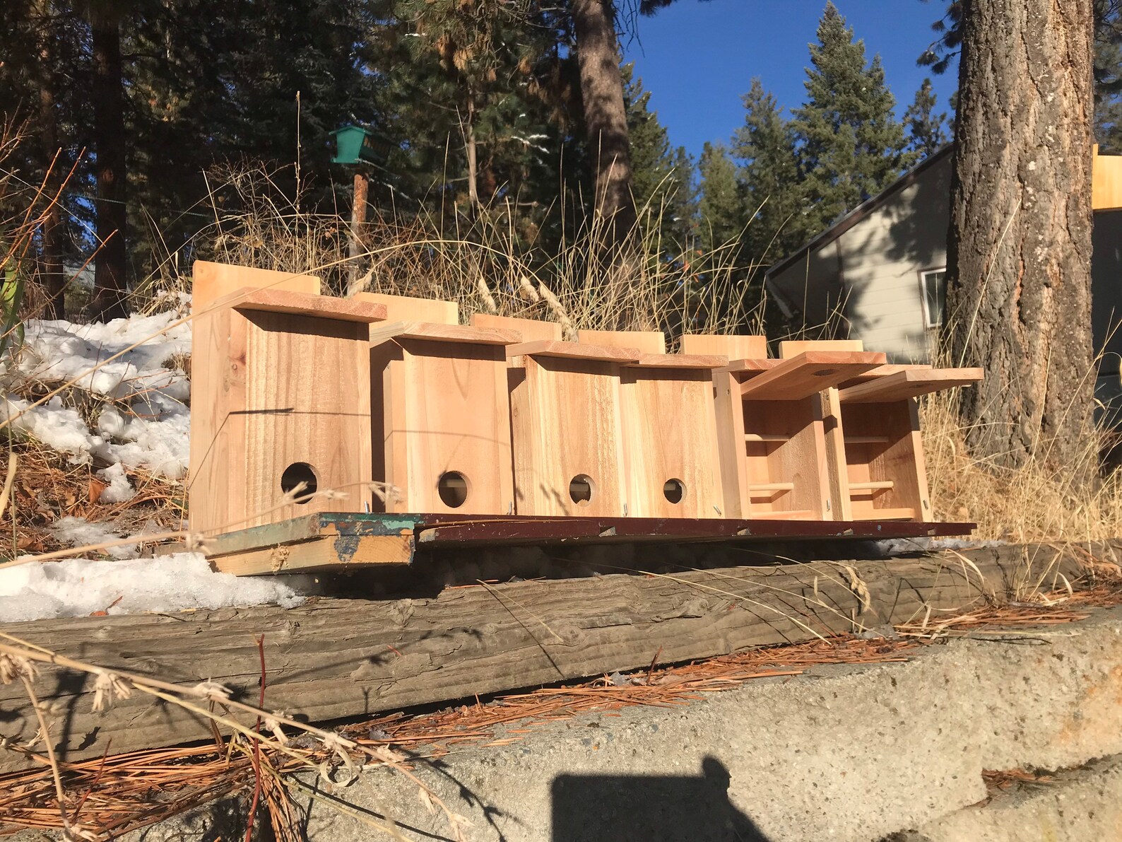 Winter Nesting Box With Bottom Entrance Hole and Perches With - Etsy