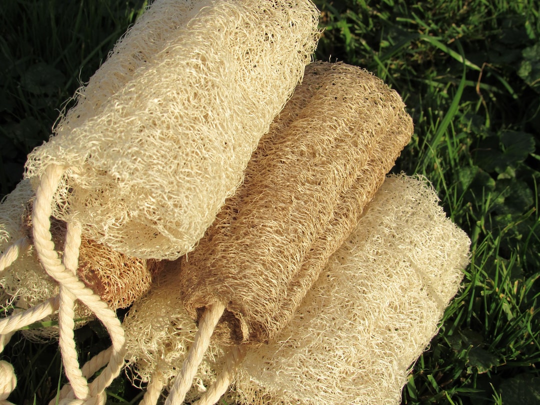 2-pack Organic Loofah Sponge: Natural Exfoliating Luffa, 4" - Etsy