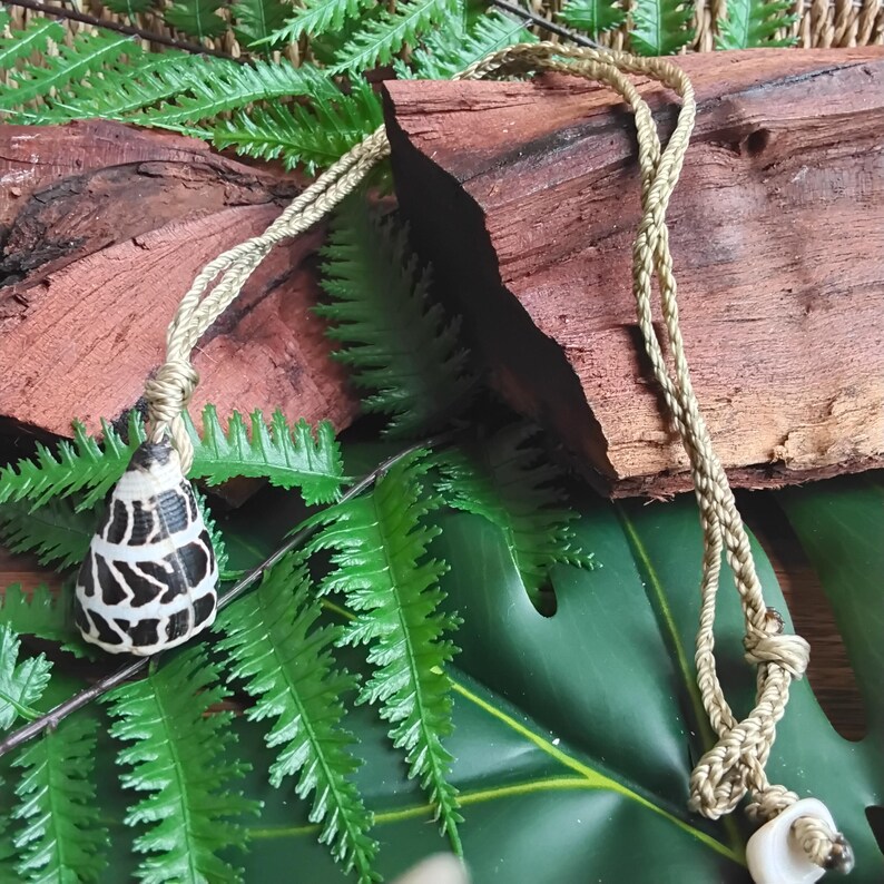 Hebrew Cone Shell, Braided Cord, Puka Shell, Hawaiian Necklace, Unisex ...