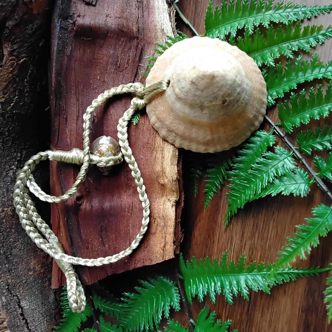 Opihi Limpet Shell (massive Size), Braided Cord, Cowrie Closure ...