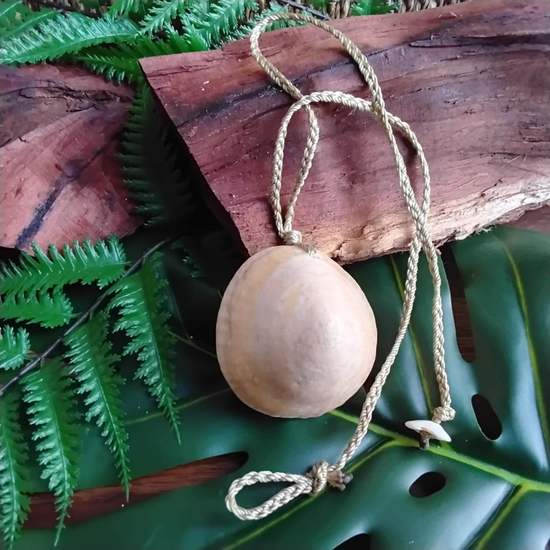 Huge Opihi Limpet Shell Pendant, Braided Cord, Puka Shell, Unisex ...