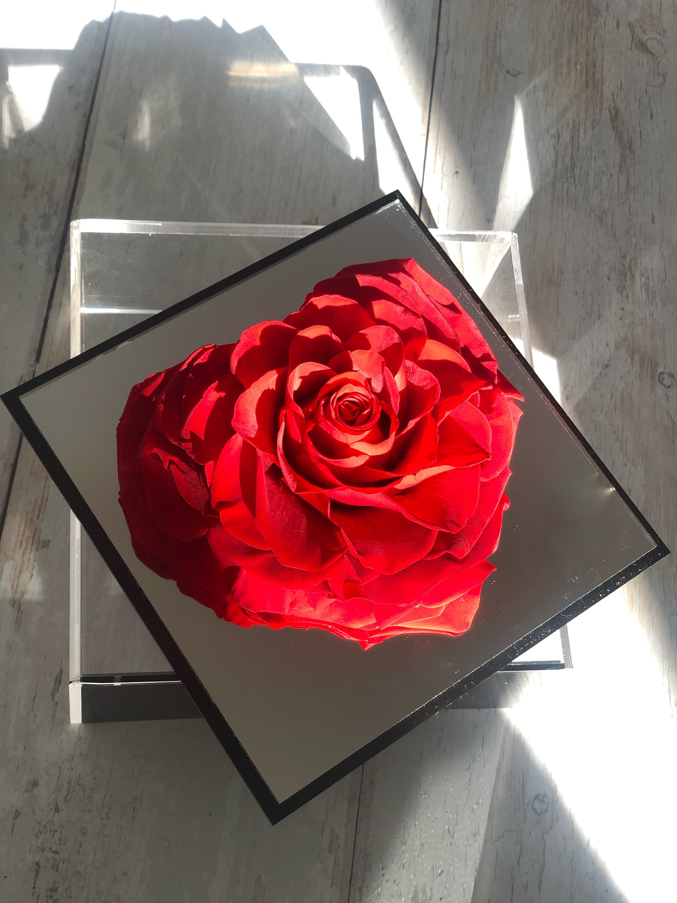 Eternal Heart Shaped Rose - Etsy