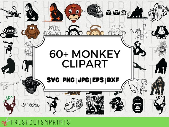 60 Monkey Svg Bundle Monkey Clipart Monkey Vector Monkey | Etsy