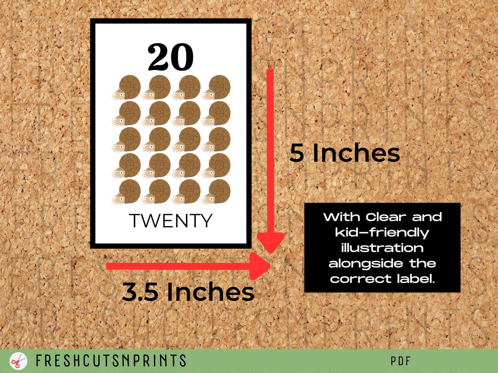 Printable Marine Animal Number Flash Cards 1–20 | Ocean Counting Cards ...