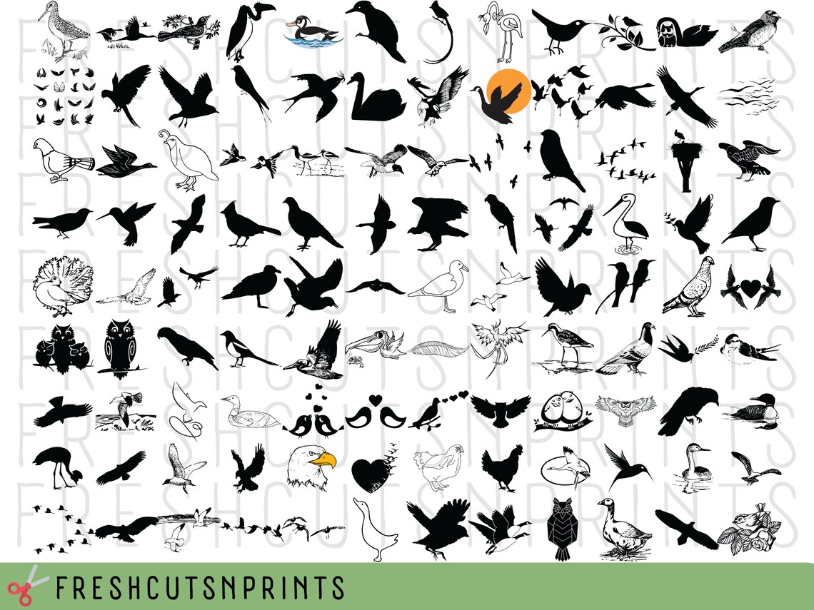 212 Bird SVG Designs Birds Svg Dove Svg Peace Svg Bird - Etsy