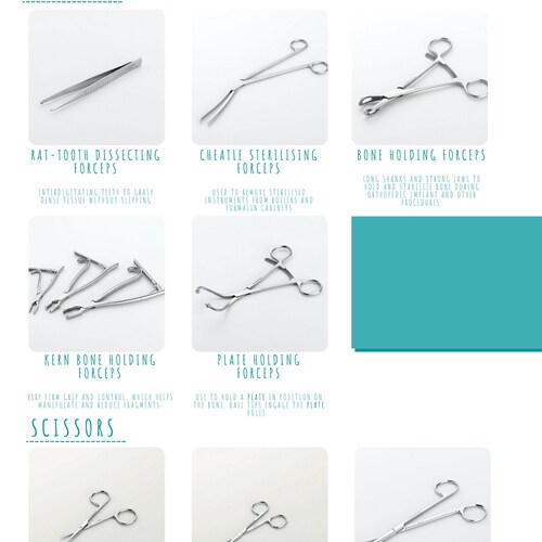 Vet Tech Surgical Instruments Guide Veterinary Surgical - Etsy