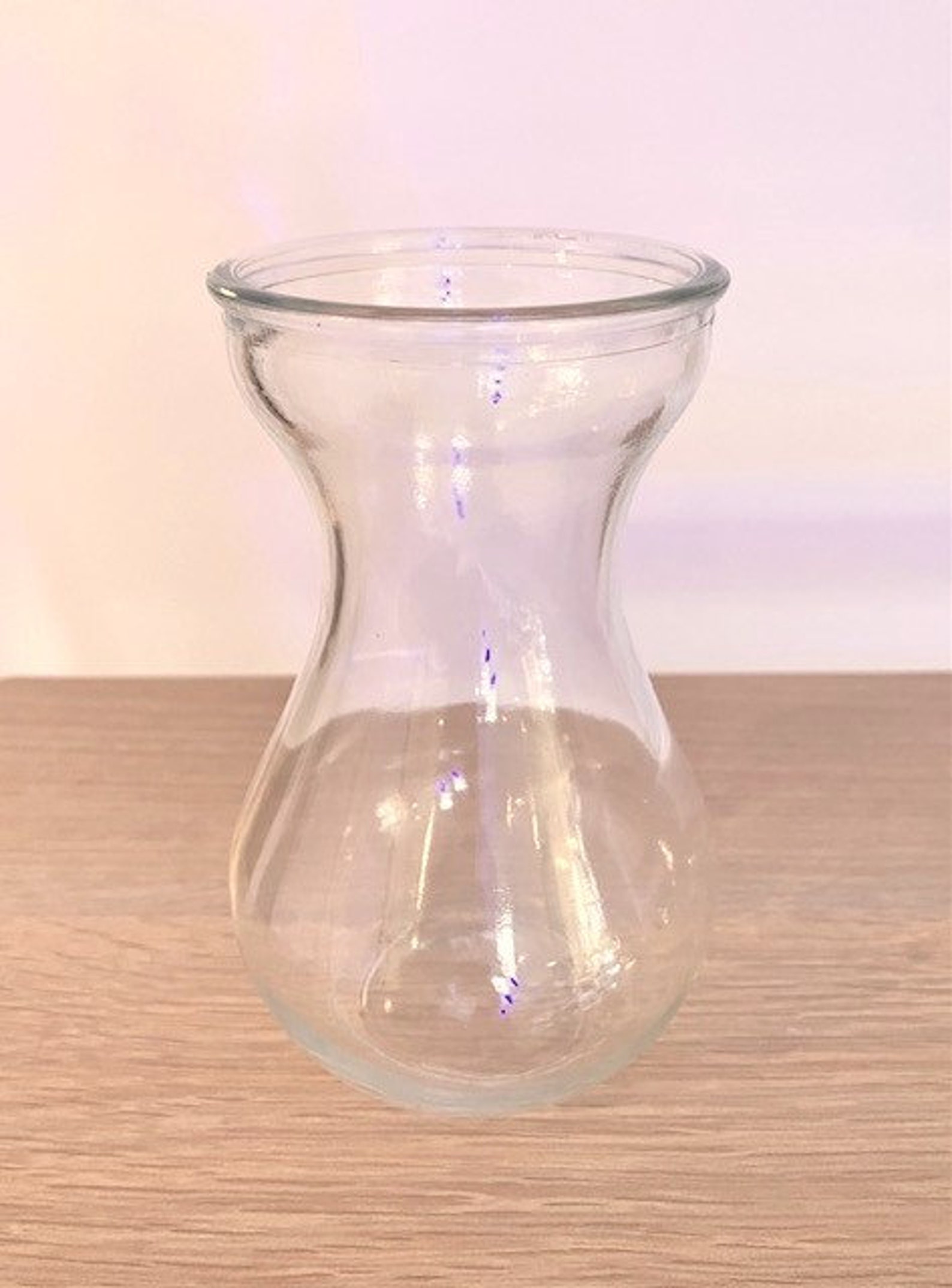 Bulb Vase Clear Glass Propagation Jar - Etsy
