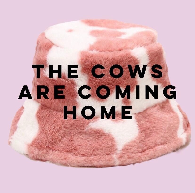 Doja Cat Cow Bucket Hat - Etsy