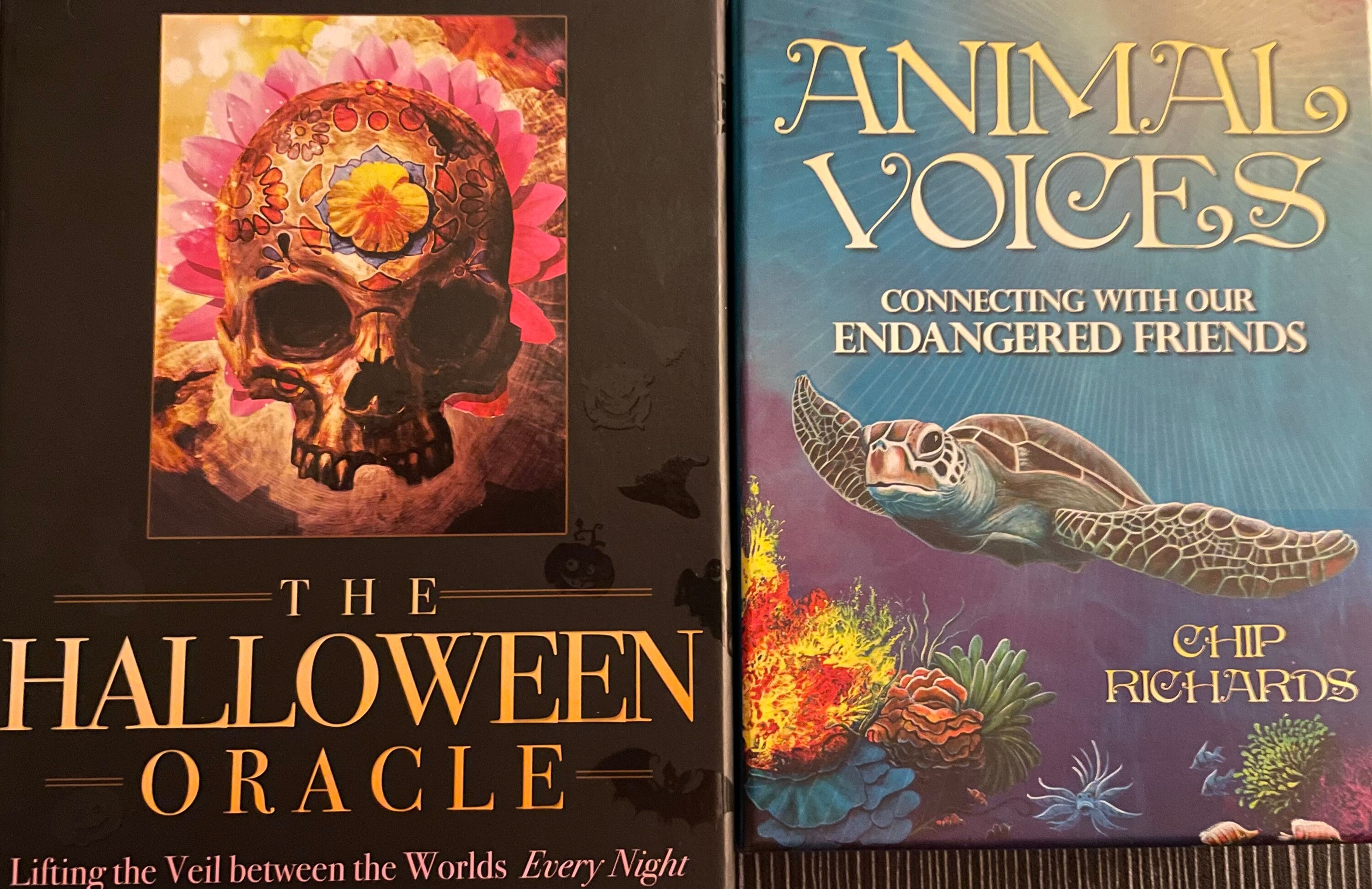 Past Present and Future Oracle Card Reading - Etsy