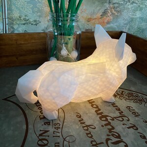Light up Corgi - Etsy