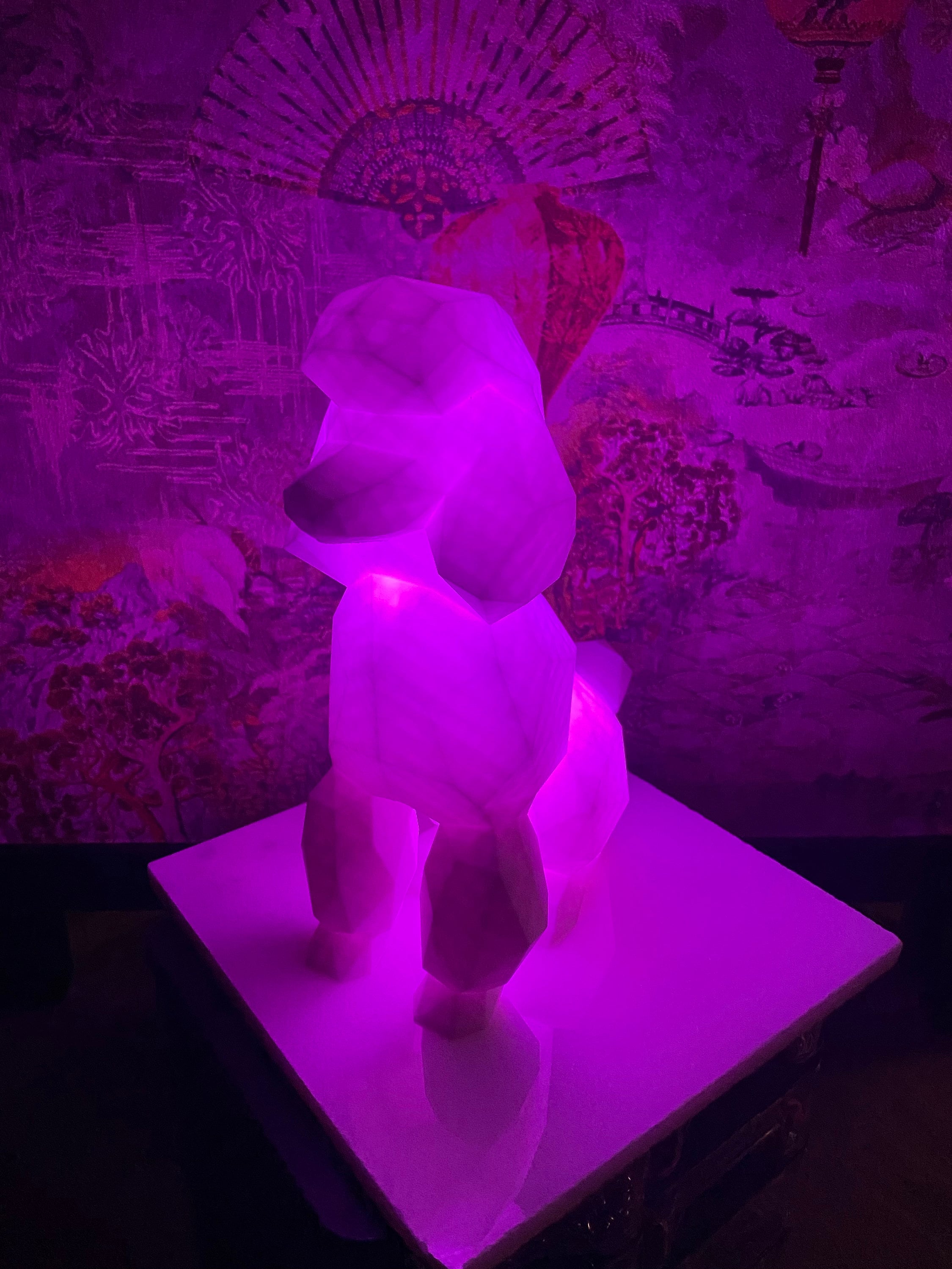 Light up Poodle - Etsy