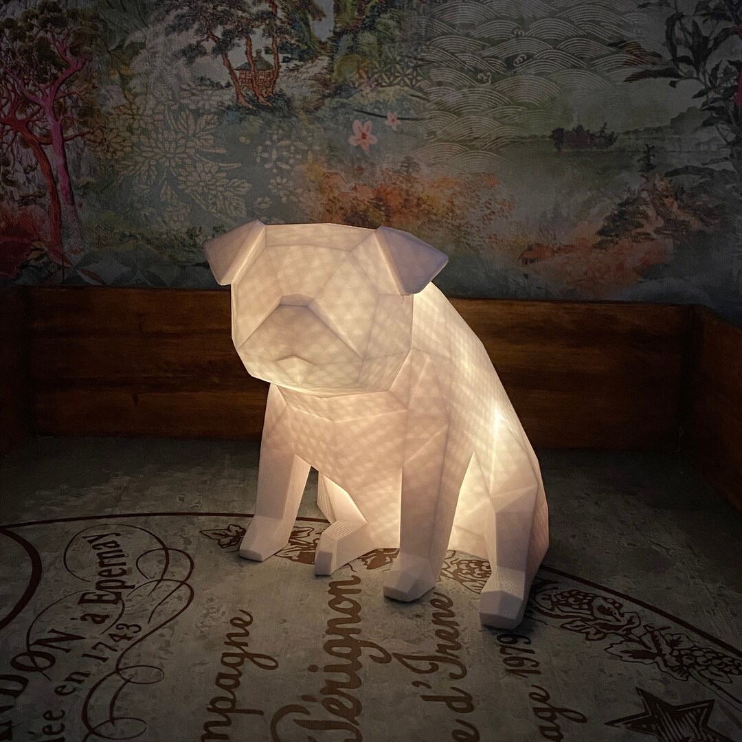 Light up Pug - Etsy