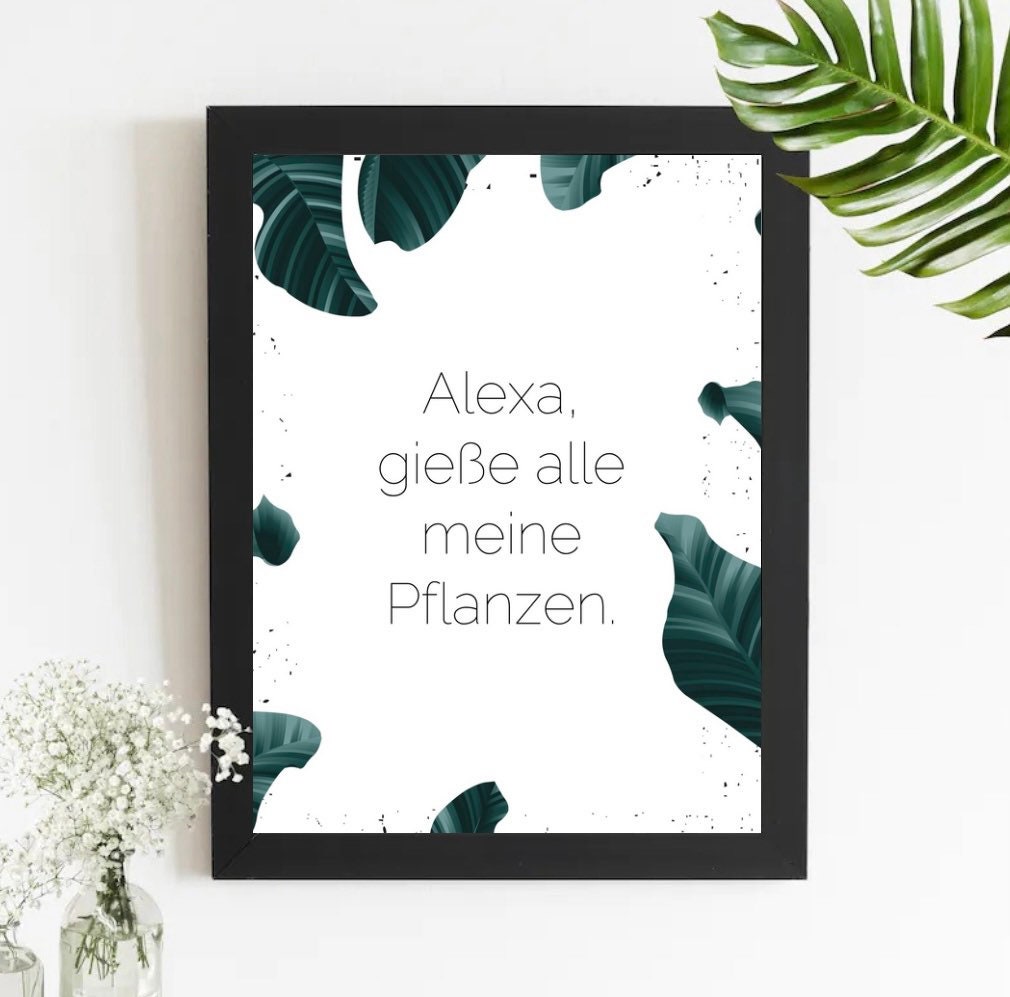 Alexa Poster Plant Poster Plants Plant Gift A4 21 X 28 Cm - Etsy