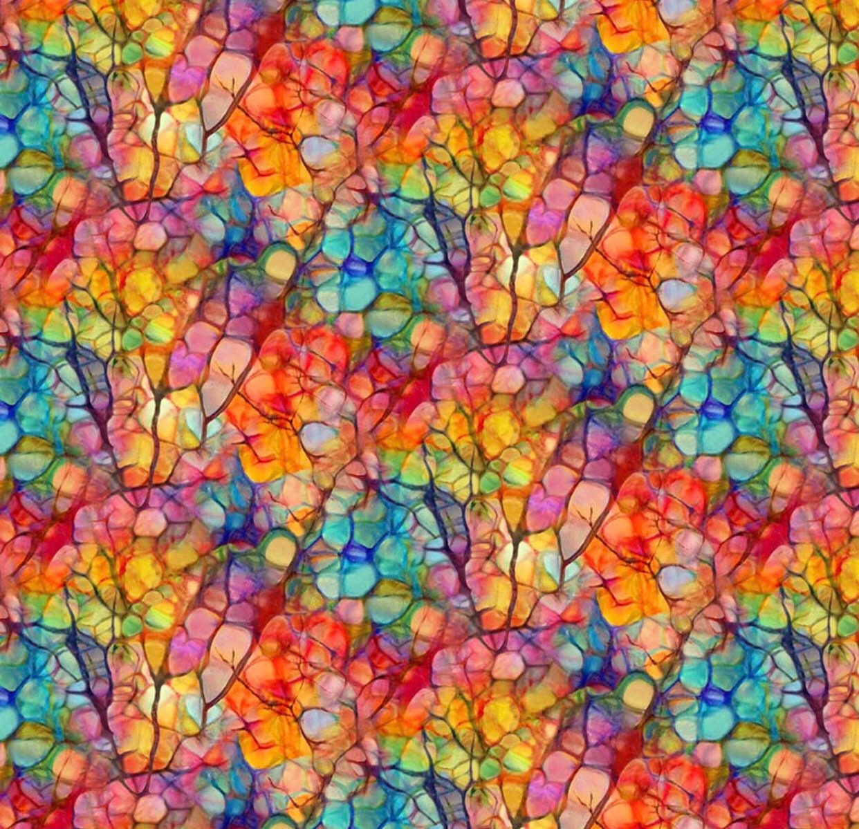 Northcott Fabrics Creation Dawns Early Light Quilt Kit Top and - Etsy