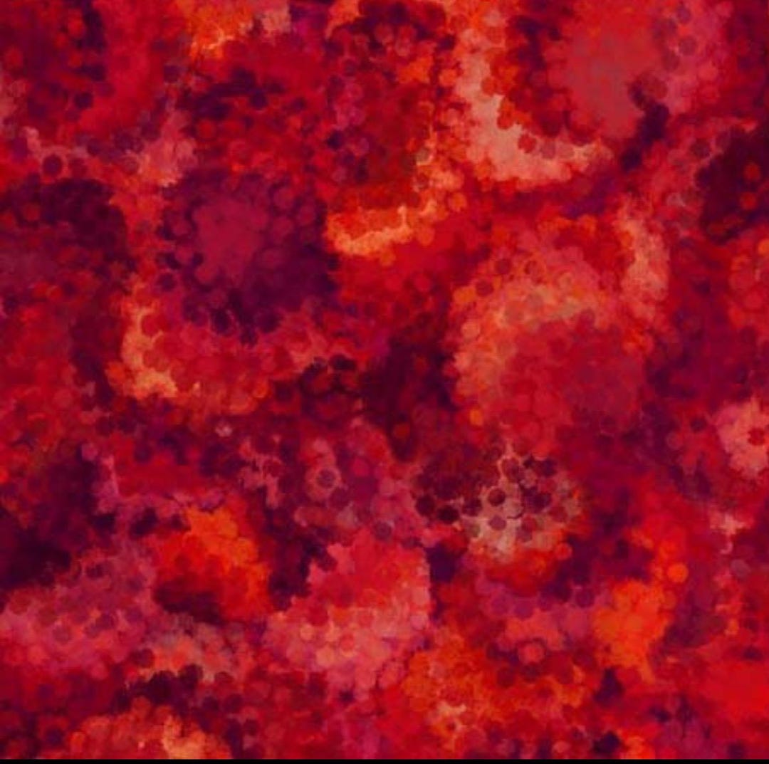 Serendipity Red Sunset Fabric: 108" Wide Backing, Burgundy to White ...
