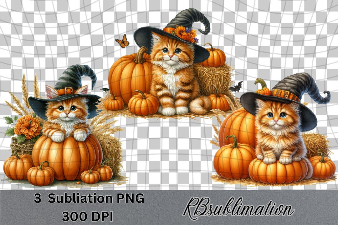 Halloween Cute Kitten- Watercolor Clipart - PNG Digital Clipart ...