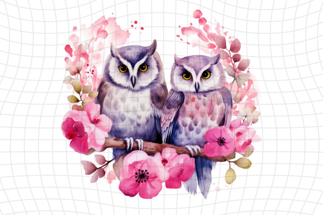 Owls- Watercolor Clipart - PNG Digital Clipart - Scrapbooking ...