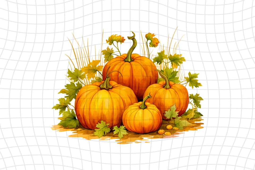 Pumpkin Patch- Watercolor Clipart - PNG Digital Clipart - Scrapbooking ...