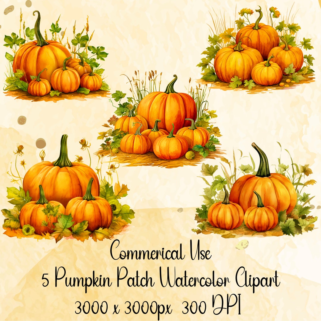 Watercolor Pumpkin Patch Clipart - 5 PNG Designs - Etsy
