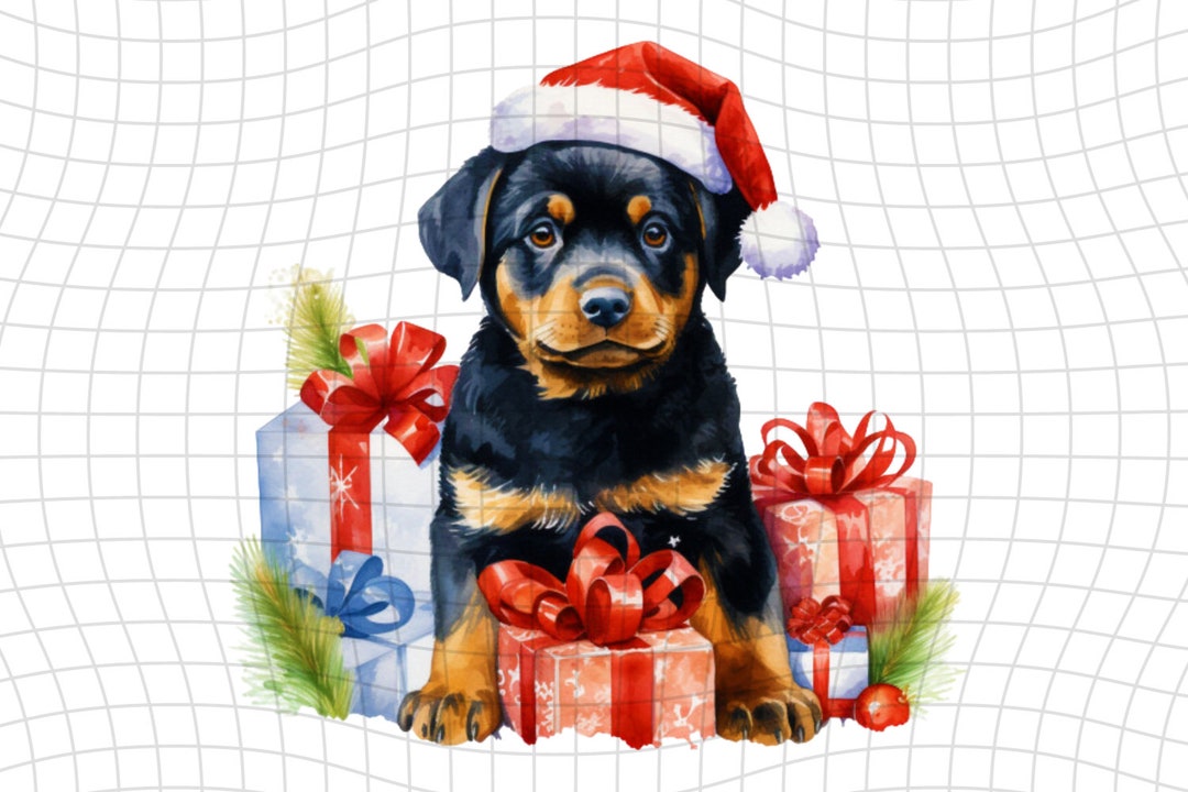 Christmas Rottweiler Puppy- Watercolor Clipart - PNG Digital Clipart ...