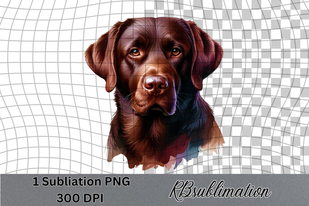 Chocolate Lab- Watercolor Clipart - PNG Digital Clipart - Scrapbooking ...