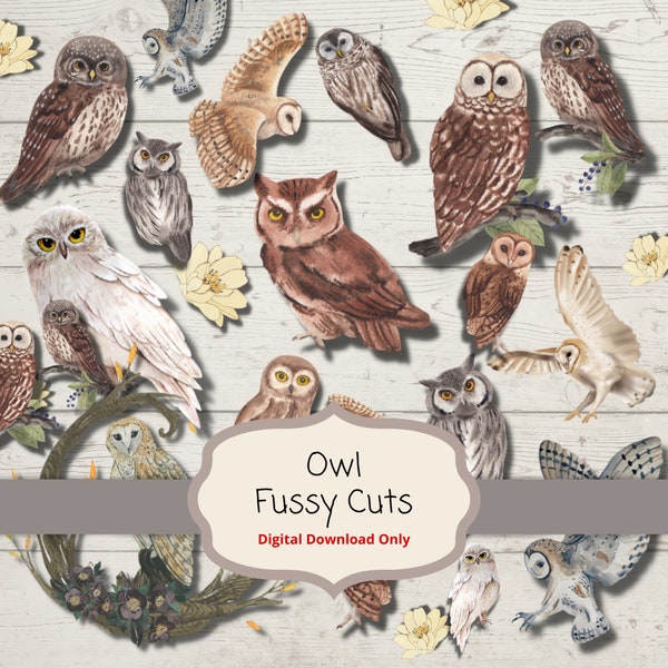 Owl Collage Sheet - Etsy