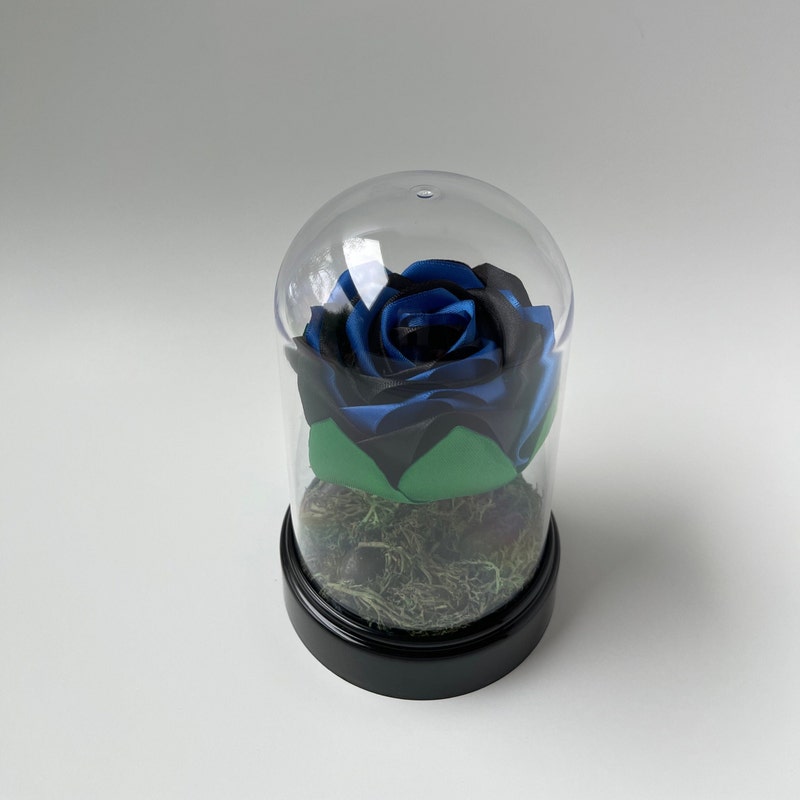 Rose Dome - Etsy