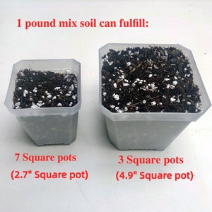 Lithops Soil Premium Mix / Perfect Drainage & Nutritious Lithops Soil ...