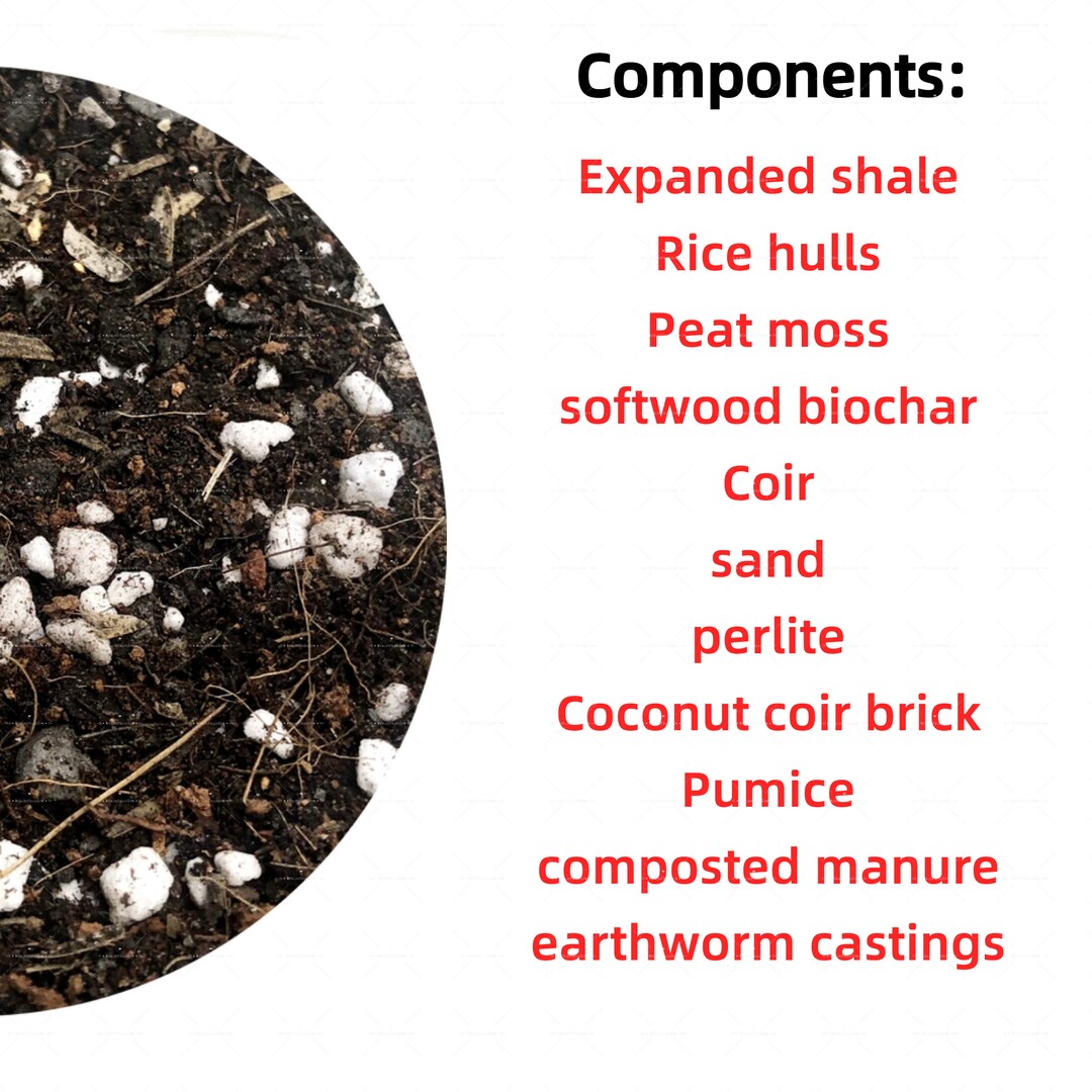 Lithops Soil Premium Mix / Perfect Drainage & Nutritious Lithops Soil ...