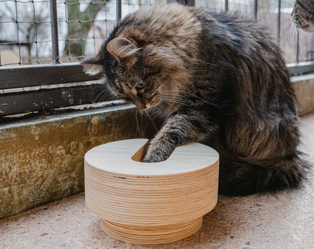 Cat Slow Feeder, Cat Hunting Game, Cat Hunting Toy, Cat Hunter Box ...