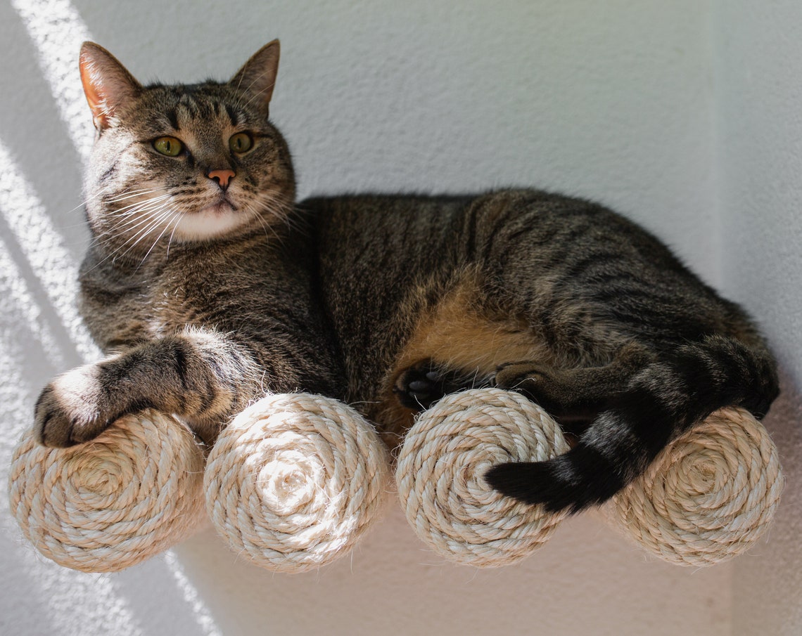 Cat Steps for Wall Big Climbing Stairs Climbing Post for - Etsy