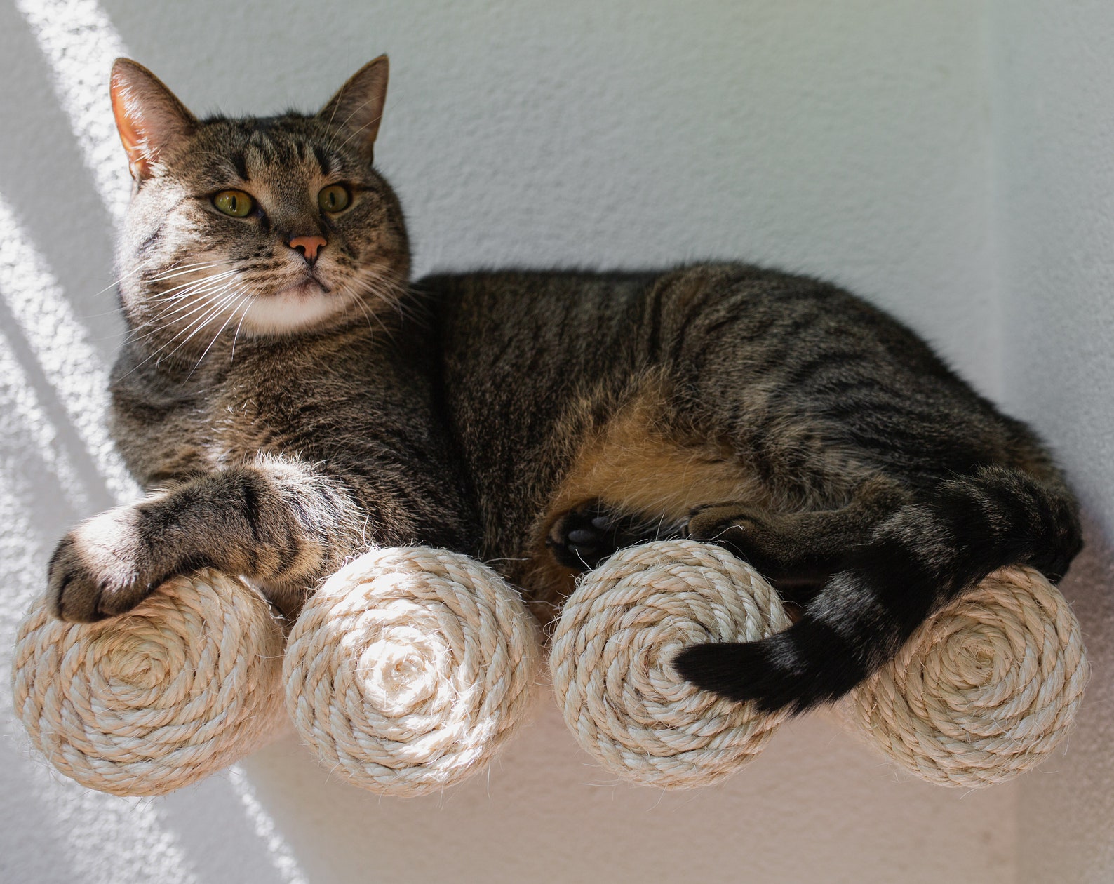 Cat Steps for Wall, Big Climbing Stairs, Climbing Post for Large Cats ...