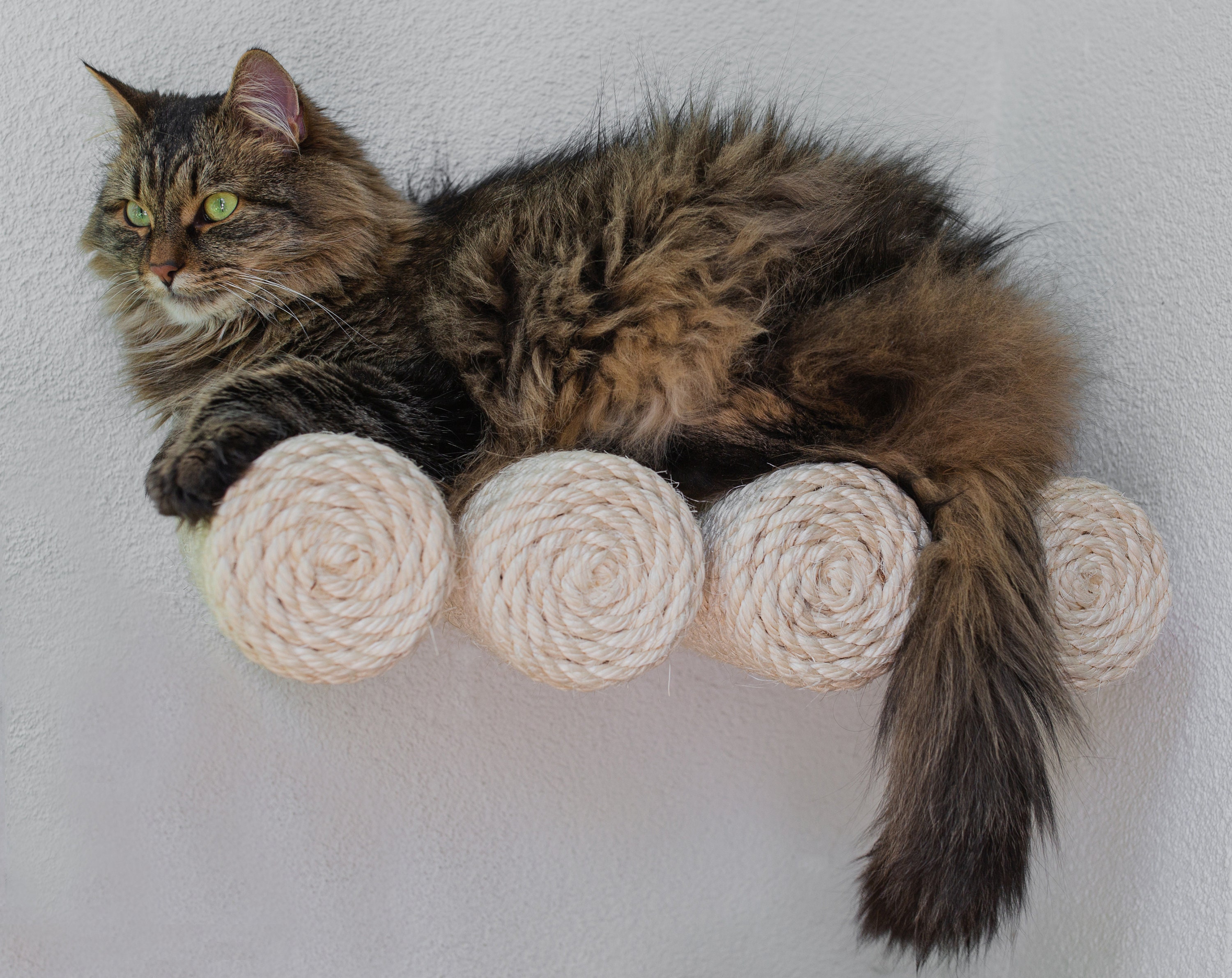 Cat Steps for Wall, Big Climbing Stairs, Climbing Post for Large Cats ...