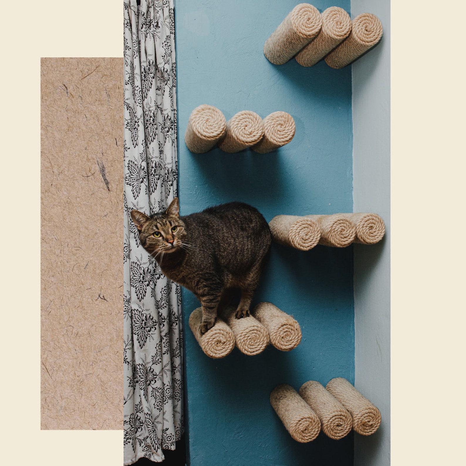 Cat Steps for Wall Big Climbing Stairs Climbing Post for - Etsy