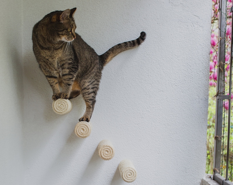 Cat Climbing Wall Step Cat Sisal Scratching Post Cat Stairs - Etsy