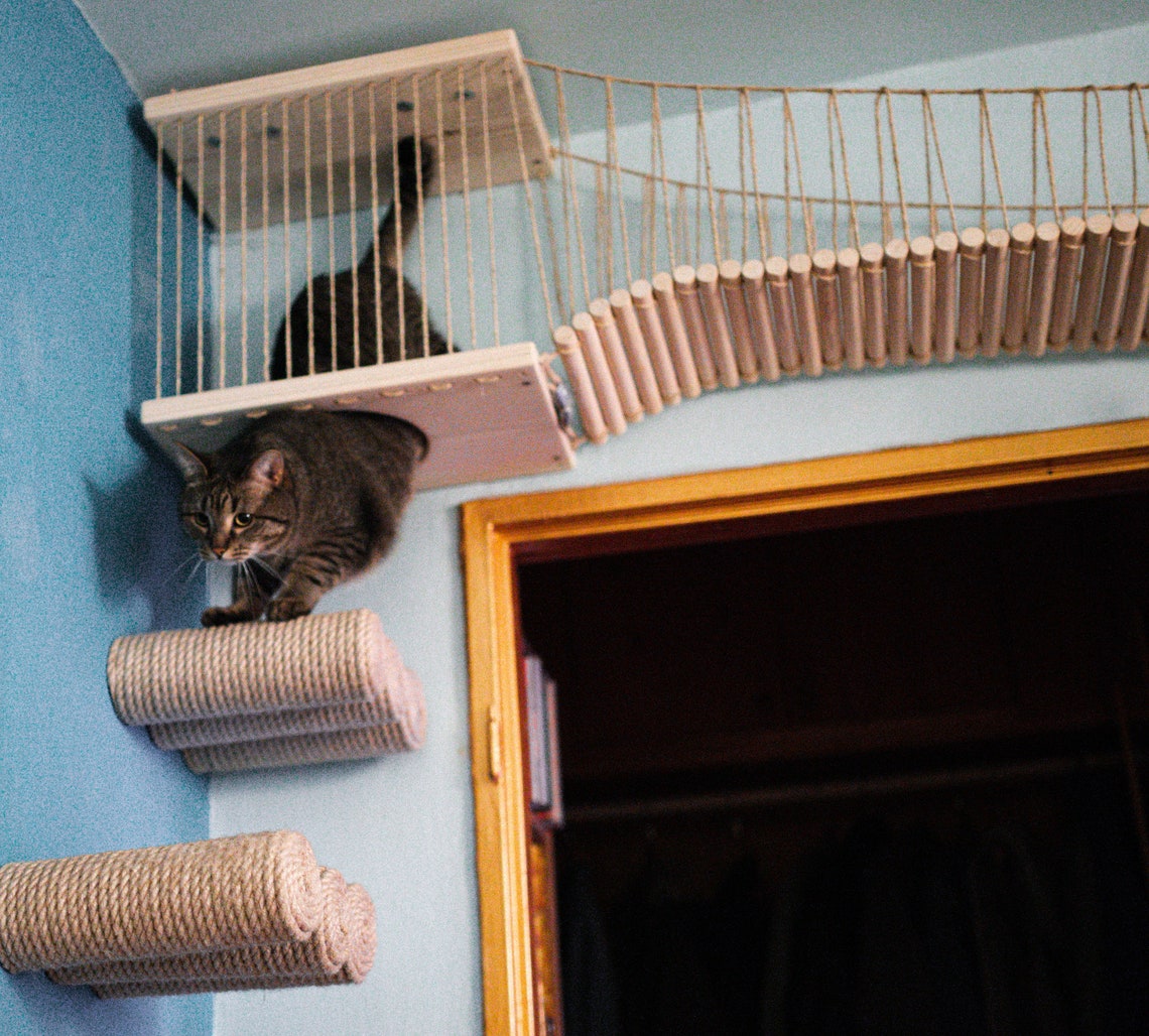 Cat Steps for Wall Big Climbing Stairs Climbing Post for - Etsy